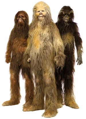Rillrrnnn spear | Wookieepedia | Fandom
