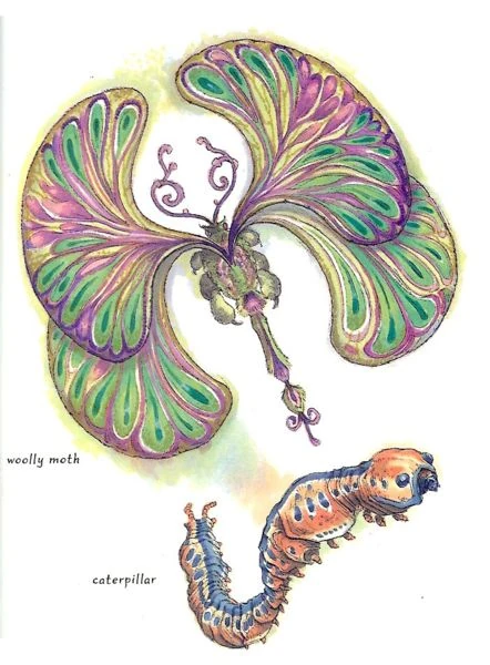 Woolly Moth | Star Wars Wiki | Fandom