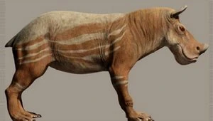 Mott | Star Wars Wiki | Fandom