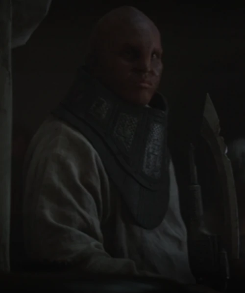 Unidentified prominent-nasion species | Wookieepedia | Fandom