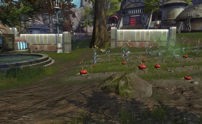 Schermaglia nei campi del villaggio Kalikori | Jawapedia | Fandom