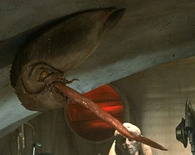 Ghoel | Wookieepedia | Fandom