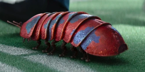 Pill bug | Wookieepedia | Fandom