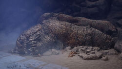 Pateesa | Wookieepedia | Fandom