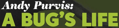 Andy Purvis: A Bug's Life | Wookieepedia | Fandom