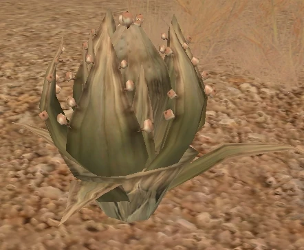 Flowering cactus | Wookieepedia | Fandom