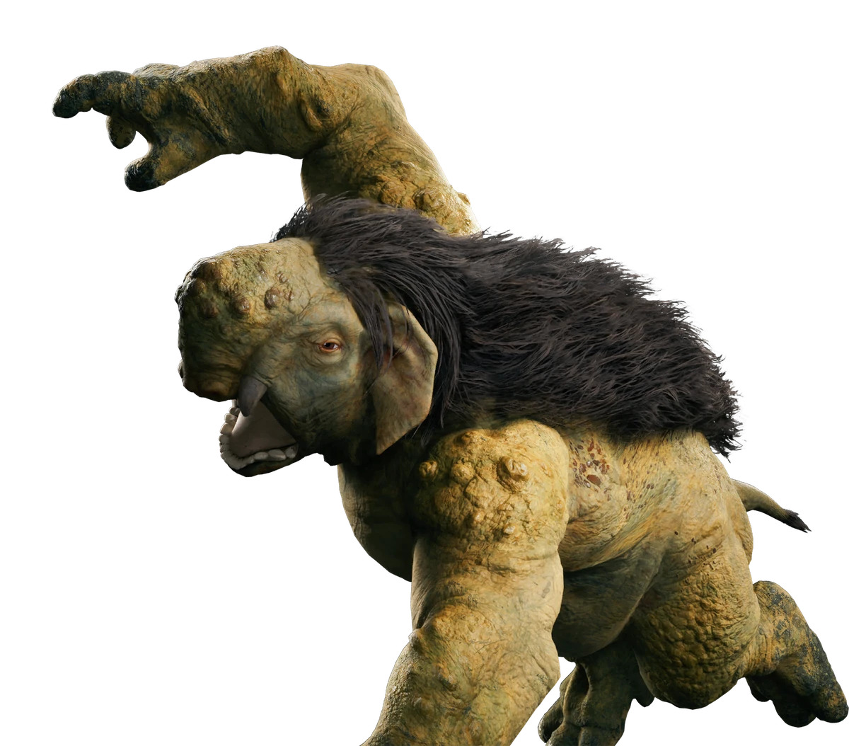 Gorocco | Wookieepedia | Fandom