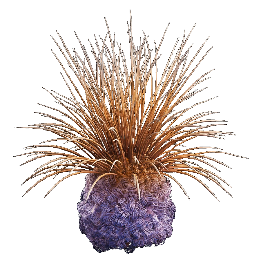 Spine fluff | Wookieepedia | Fandom