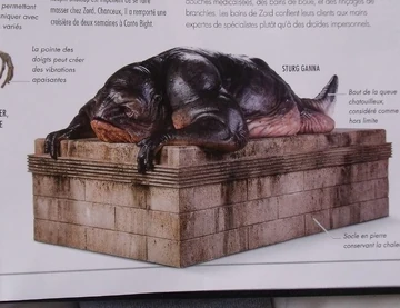 Progetto:Canto Bight | Jawapedia | Fandom