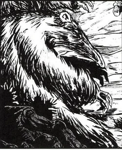 Karran | Wookieepedia | Fandom