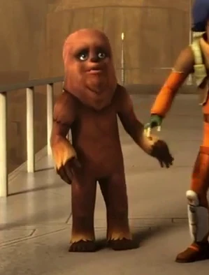 Kitwarr | Star Wars Wiki | Fandom