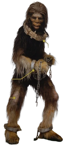 Sagwa | Czech Star Wars Wiki | Fandom