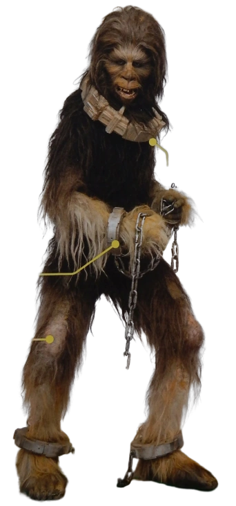 Sagwa | Czech Star Wars Wiki | Fandom