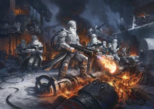 Cold weather assault trooper | Wookieepedia | Fandom