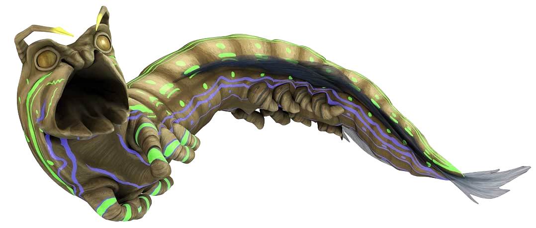 Kwazel Maw | Wookieepedia | Fandom