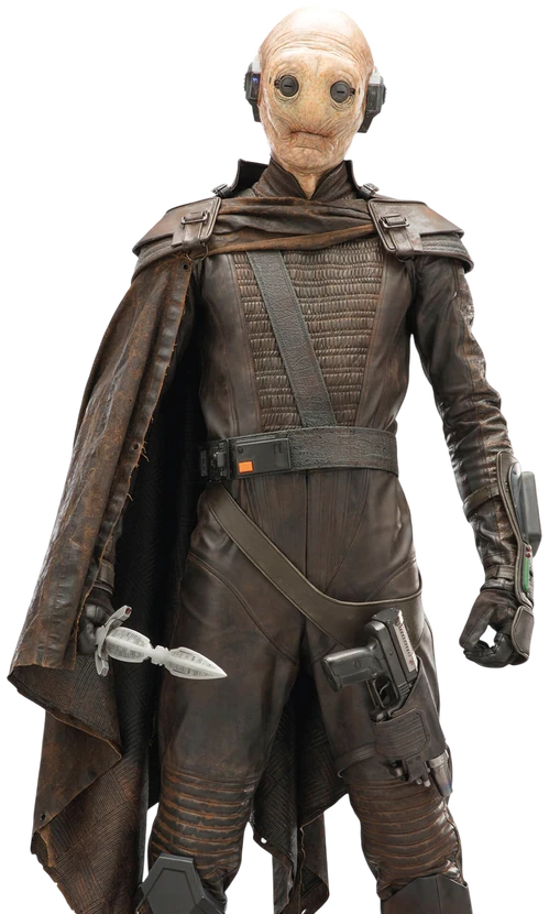 Bestoonian | Wookieepedia | Fandom