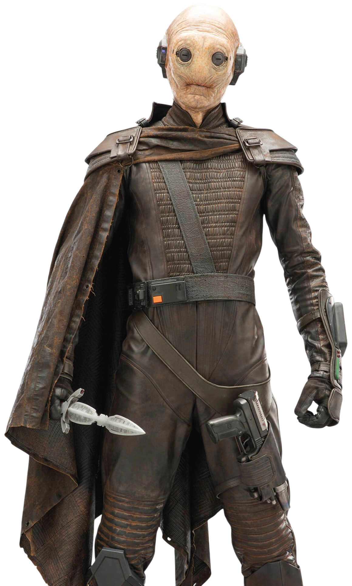 Bestoonian | Wookieepedia | Fandom