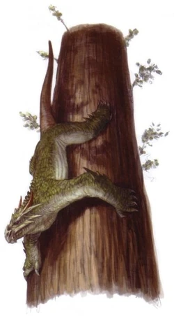 Katarn | Star Wars Wiki | Fandom