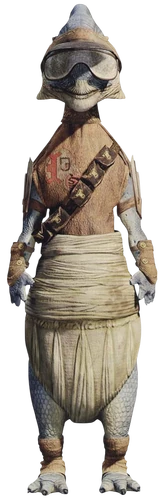 Aleena | Wookieepedia | Fandom