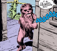 Lumpawaroo | Wookieepedia | Fandom