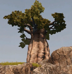 Blba tree | Wookieepedia | Fandom