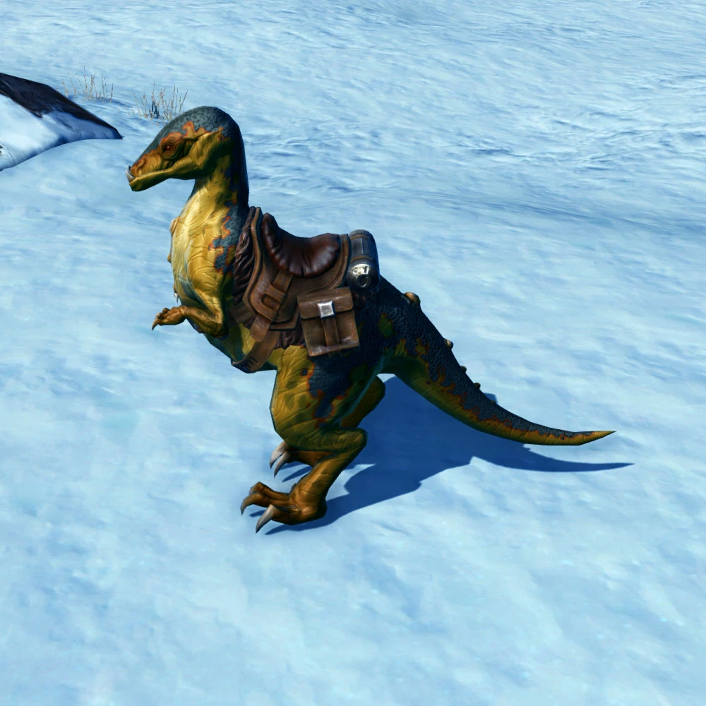 Raptor (creature) | Wookieepedia | Fandom