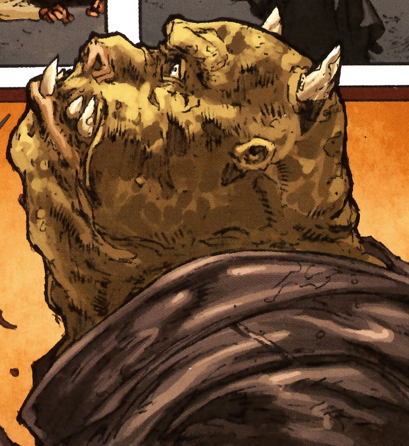 Unidentified Gamorrean guard | Wookieepedia | Fandom