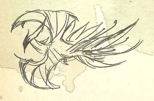 Starbird | Wookieepedia | Fandom