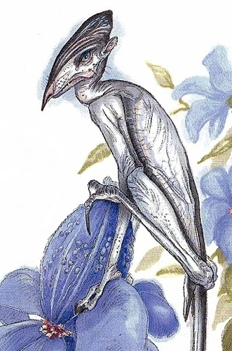 Unidentified flying creature | Wookieepedia | Fandom