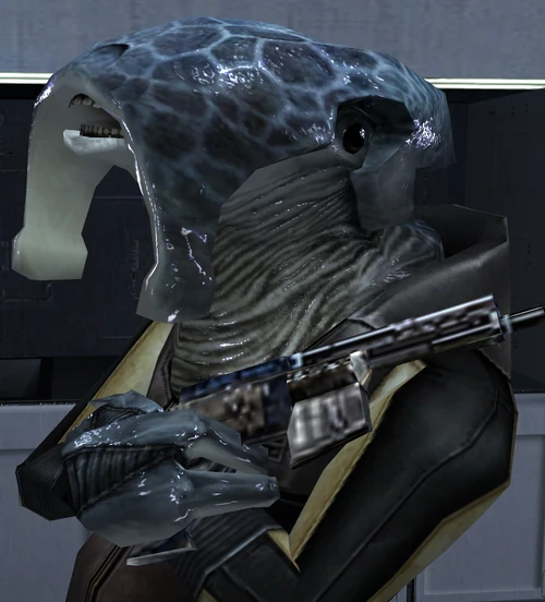 Shasa | Wookieepedia | Fandom