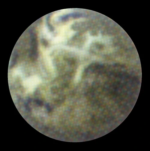 Reecee | Wookieepedia | Fandom