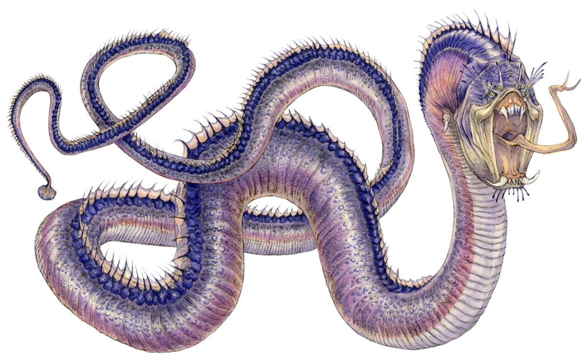 Sith wyrm | Wookieepedia | Fandom