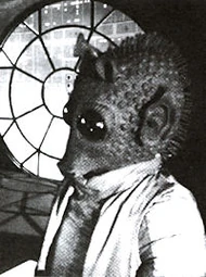 Treasure Trove | Wookieepedia | Fandom