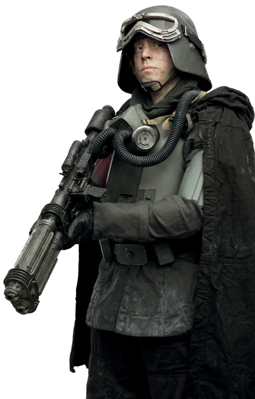 Imperial Army trooper | Wookieepedia | Fandom