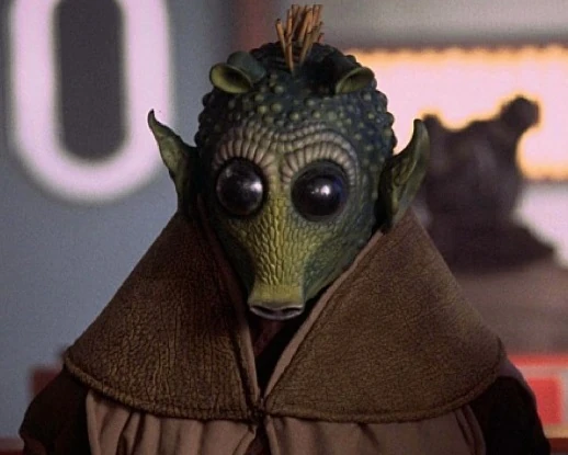 Honka | Wookieepedia | Fandom