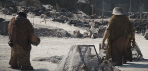 Freedi Pamular | Wookieepedia | Fandom