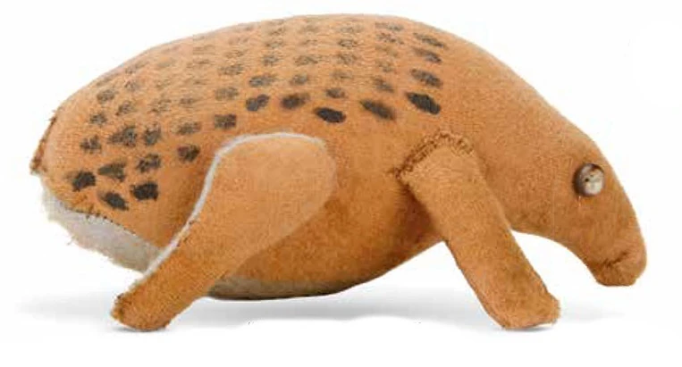 Sniksnak | Star Wars Wiki | Fandom