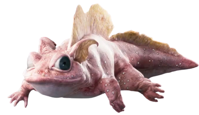 Category:Salamanders | Wookieepedia | Fandom