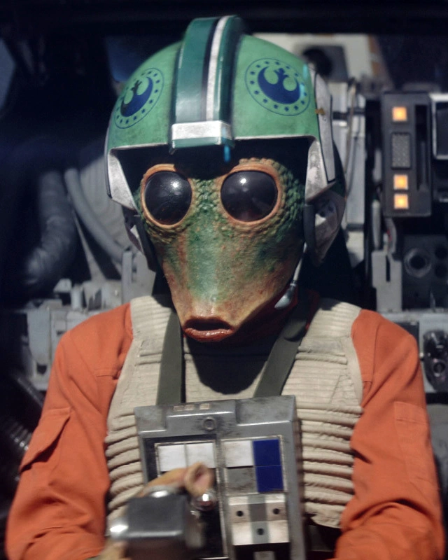 Mowaat | Wookieepedia | Fandom