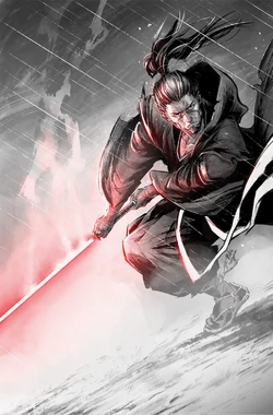 The Ronin | Wookieepedia | Fandom