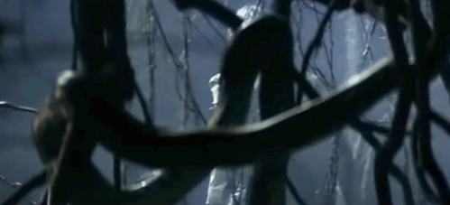 Dagobah python | Wookieepedia | Fandom