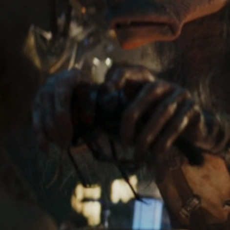 Unidentified lobster-size bug | Wookieepedia | Fandom