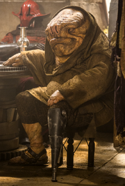 Quiggold | Wookieepedia | Fandom