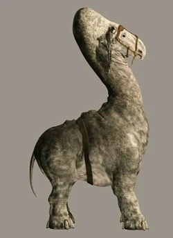 Ronto | Star Wars Wiki | Fandom