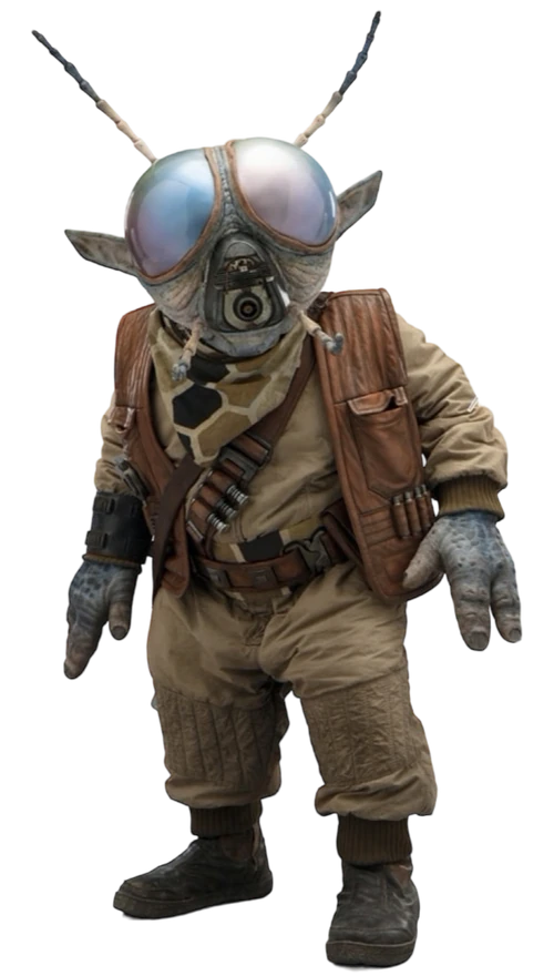 Cyclorrian | Wookieepedia | Fandom