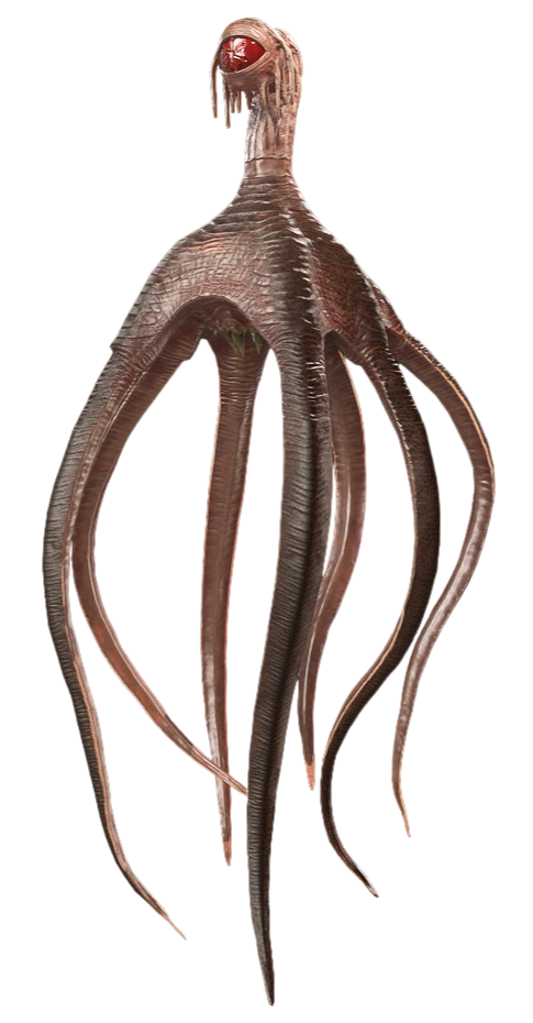 Cephalopod | Wookieepedia | Fandom