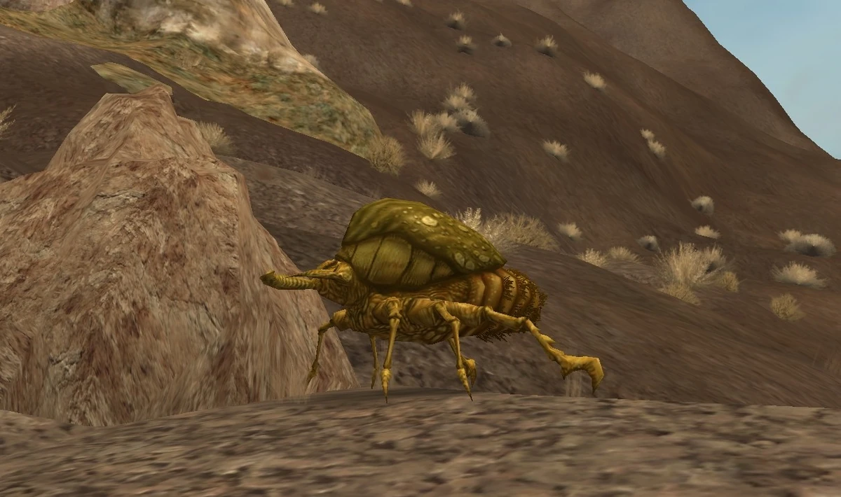 Dune beetle | Wookieepedia | Fandom