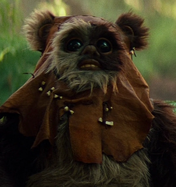 Pommet Warrick | Wookieepedia | Fandom