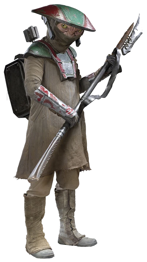 Constable | Wookieepedia | Fandom