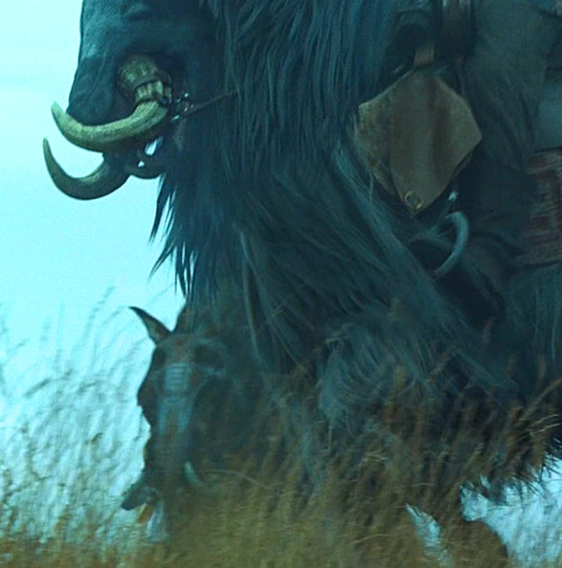 Zeegar | Wookieepedia | Fandom